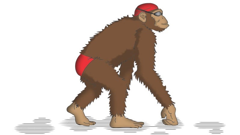Do You Know Your Ape Index? – Triathlete - Triathlete